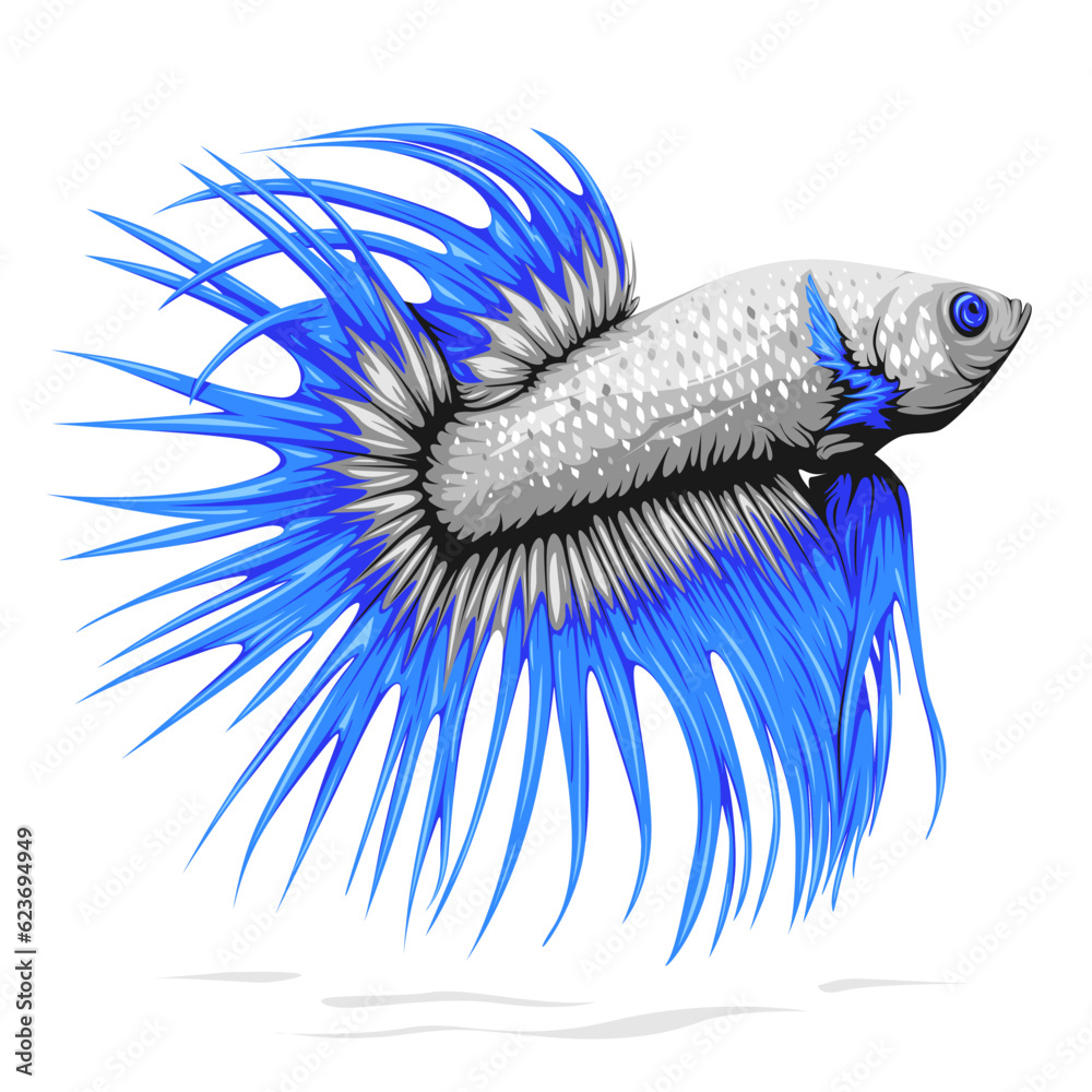 Vector illustration of crown tail betta fish with white scales and blue ...