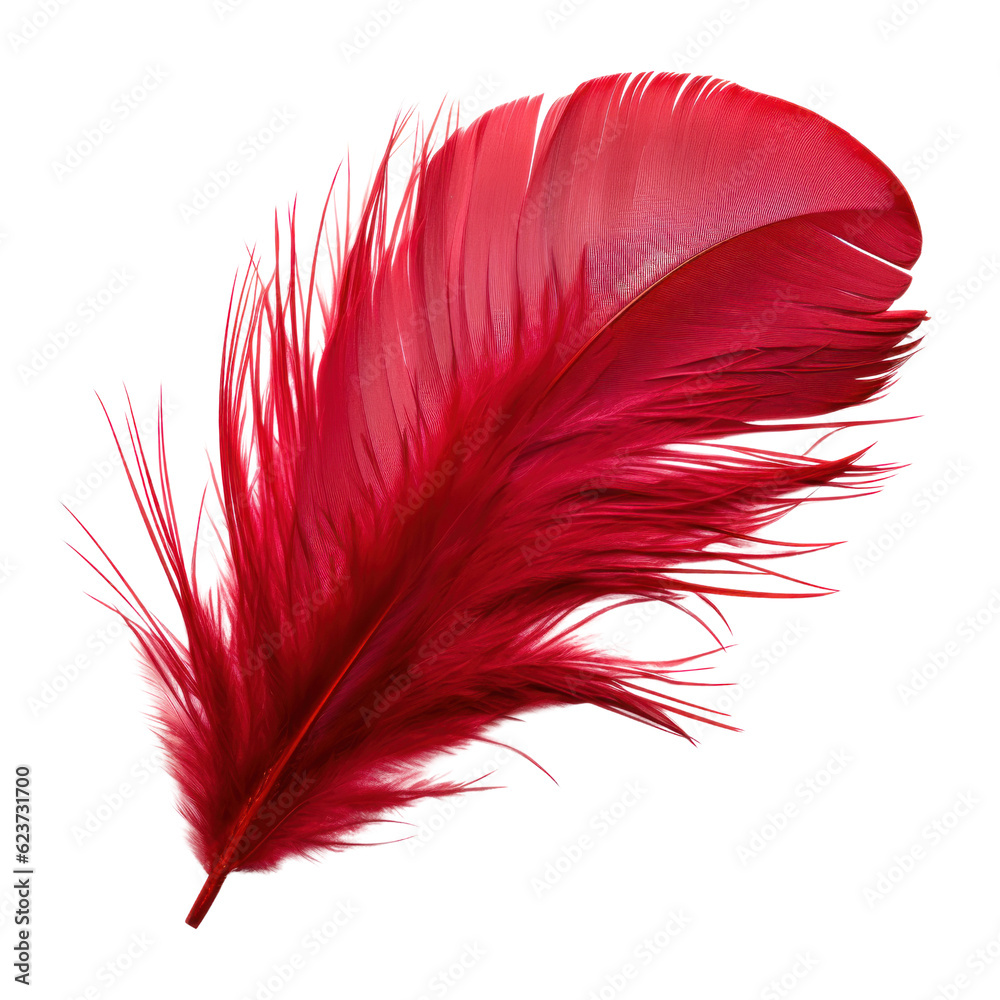 red feather isolated on transparent background cutout Stock ...