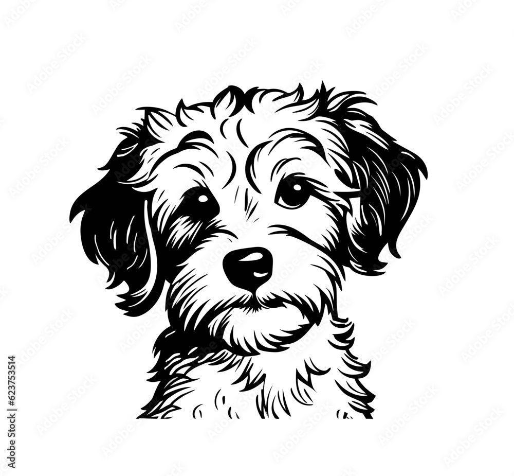 Vector isolated one single sitting Maltipoo dog head front view black ...