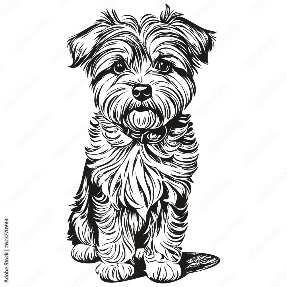 Dandie Dinmont Terriers dog breed line drawing, clip art animal hand ...