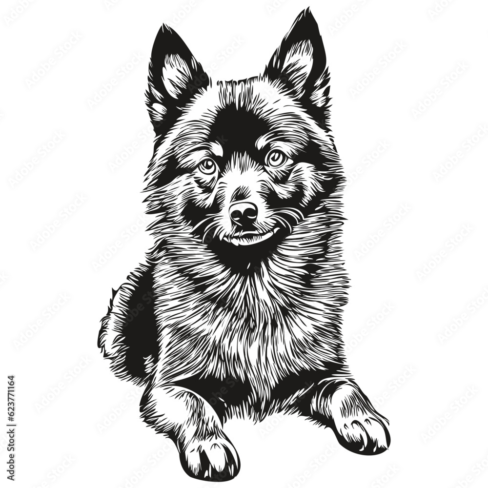 Schipperke dog black drawing vector, isolated face painting sketch line ...