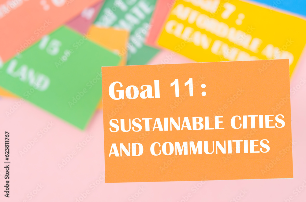 The Goal 11 : Sustainable cities and communities. The SDGs 17 ...