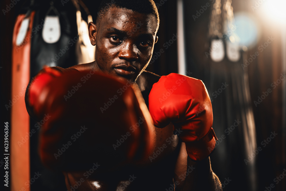 Boxing fighter shirtless posing, African American Black boxer punch his ...
