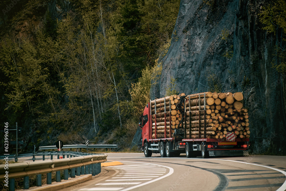 Transportation of timber and firewood on country roads. Transportation ...