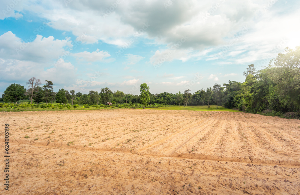 Empty dry cracked swamp reclamation soil, land plot for housing ...
