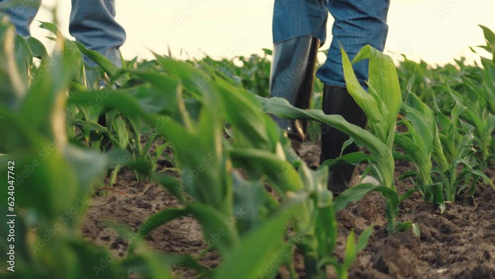 boots feet field, boots walk ground ground soil, agriculture rubber ...