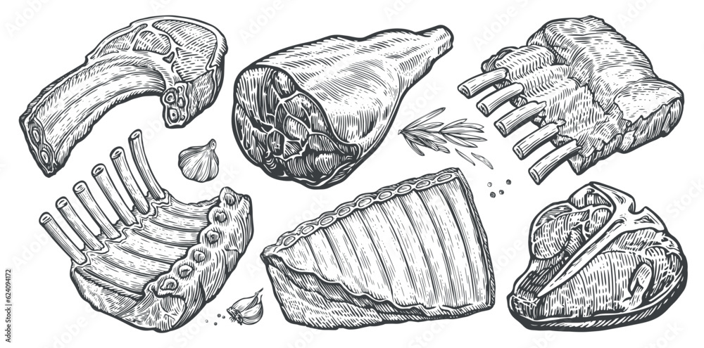 Cuts of raw meat set. Steak, ribs, ham vector illustration. Hand drawn ...