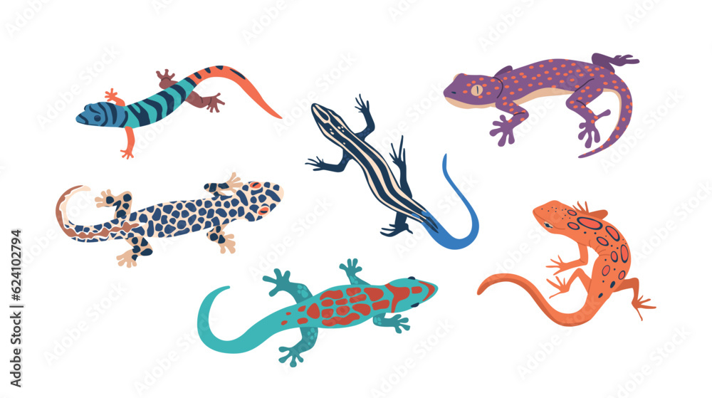 Exotic Lizards Set, Fascinating Reptiles With Unique Patterns And ...