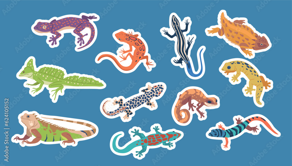 Set Of Stickers with Exotic Lizards And Varans. Reptiles with Unique ...