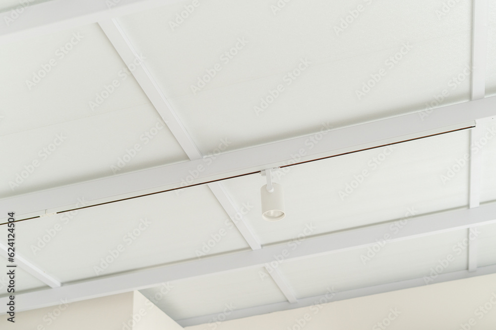 White ceiling spotlight creates bright and stylish ambiance. Perfect ...