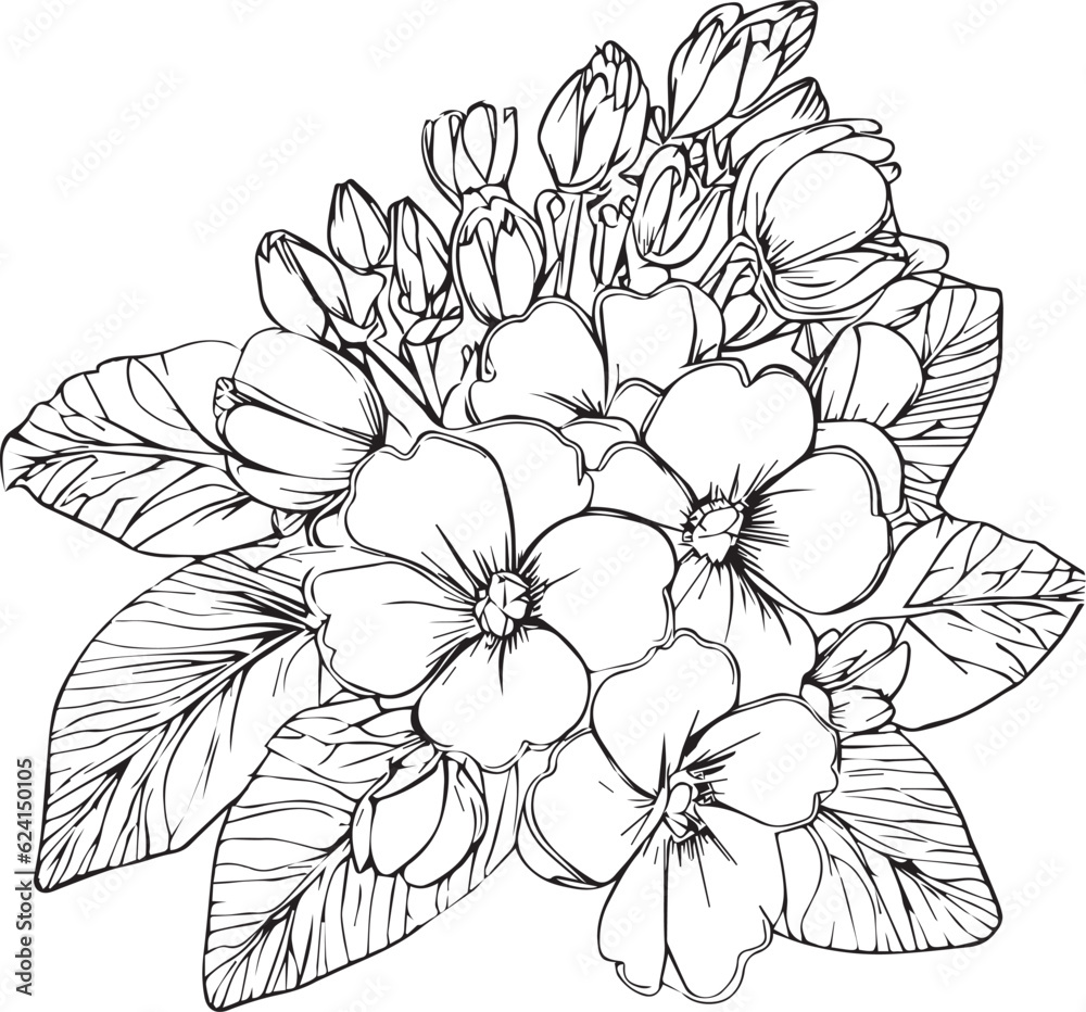 Vetor de Primrose coloring book hand drawn botanical spring elements ...