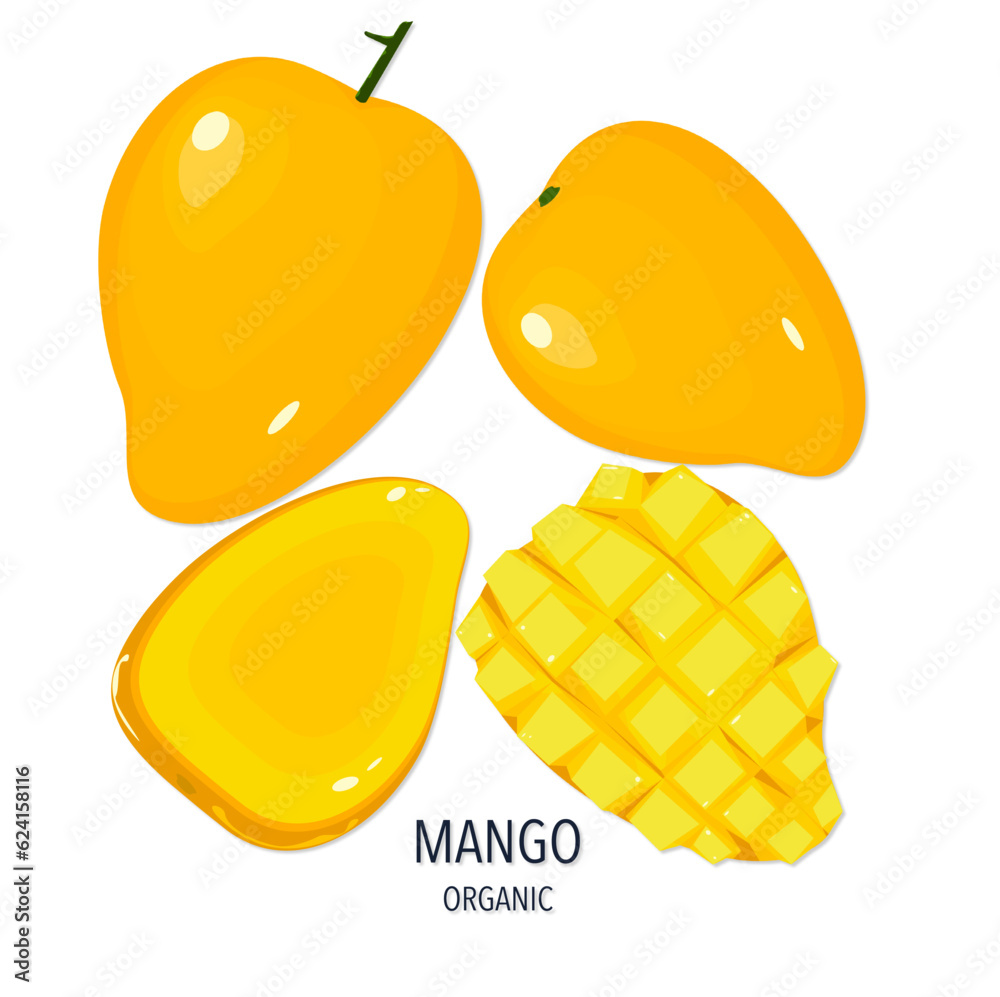 Set of bright vector illustrations of halftones, slices, and whole ...