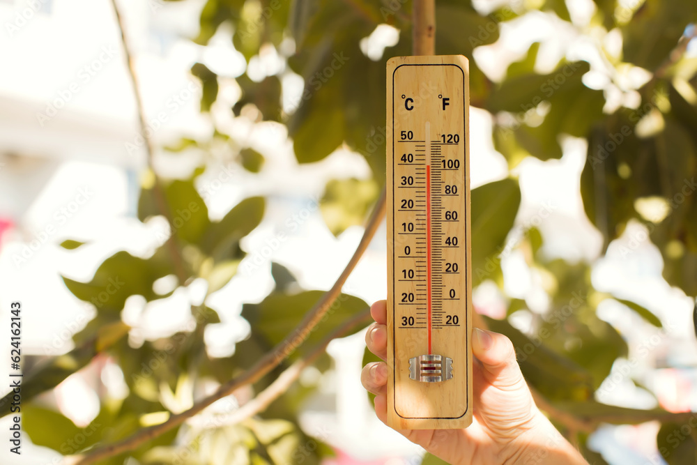 Hot weather. Thermometer in hand in front of green plants during ...