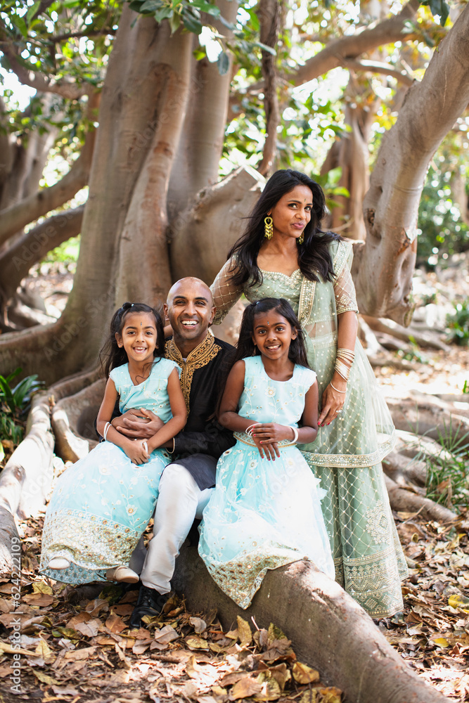 beautiful indian family sisters smiling with a bindi and traditional ...