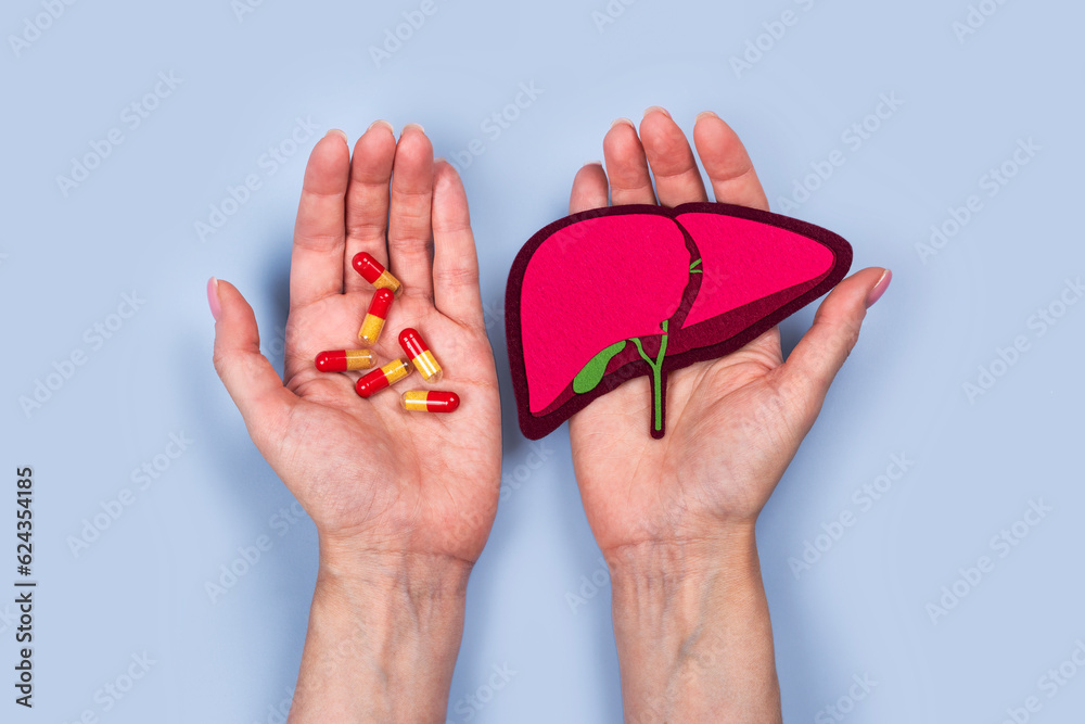 Hands holding Human Liver organ and pills. World hepatitis day ...