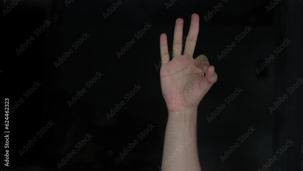 American sign language (ASL). Human hand doing one-handed sign language ...