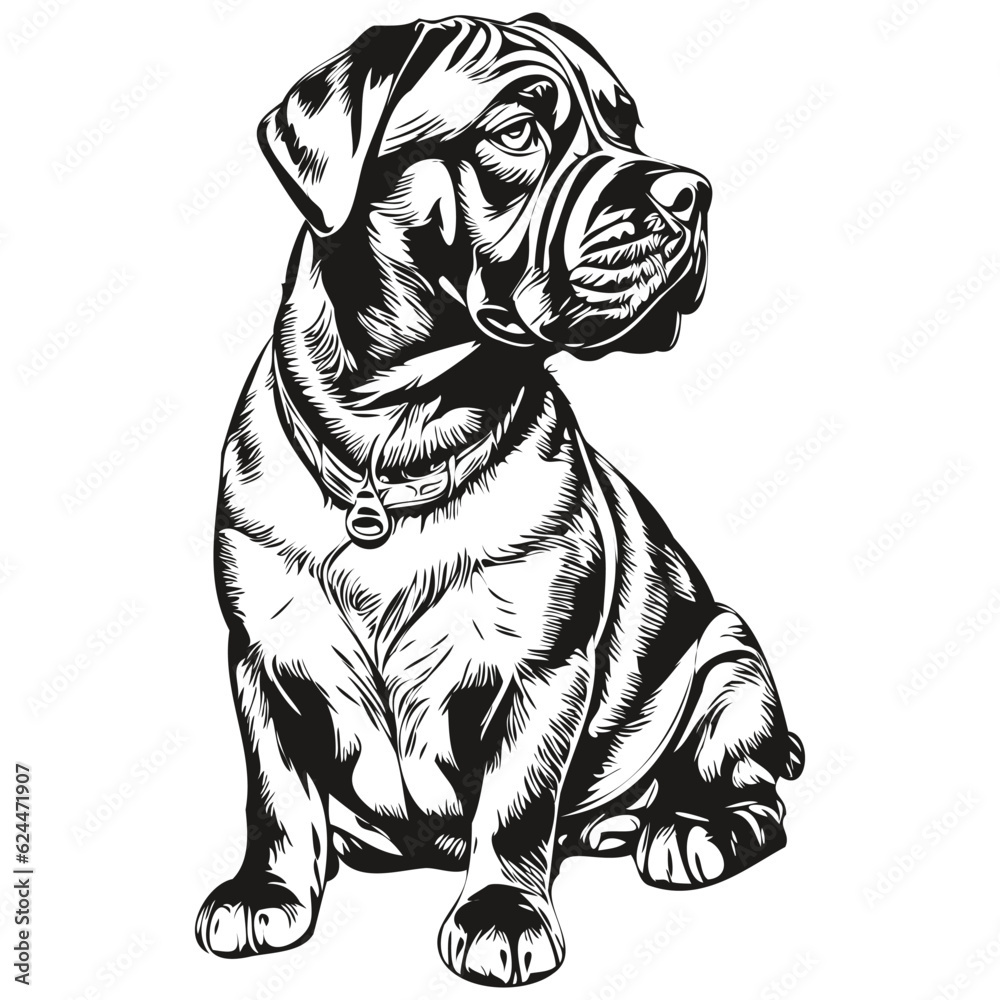 Neapolitan Mastiff dog pet sketch illustration, black and white ...