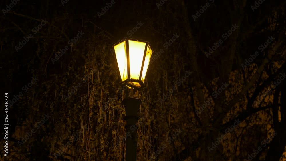 Magic street lamp under trees. A view of bright street lamp in the park ...