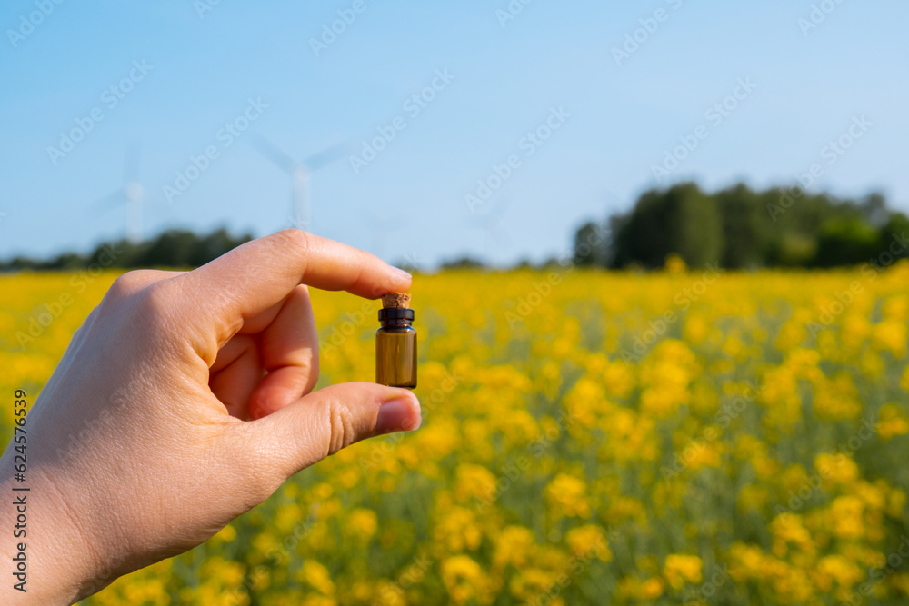 Hand holding test tube with liquid on background of canola flowers ...