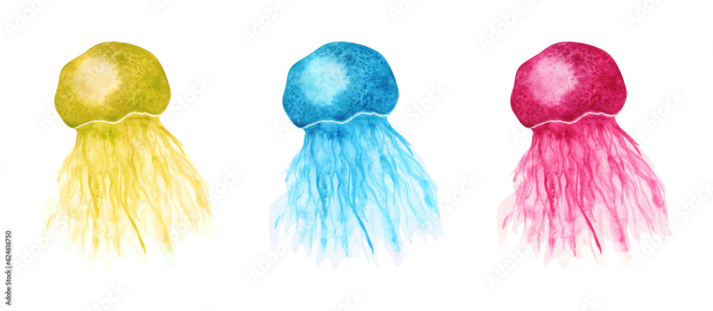Set of 3 jellyfish isolated on a white background. Hand-drawn colorful ...