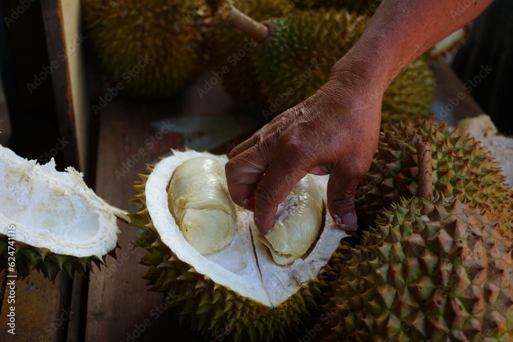 Durian is the name of a tropical plant originating from the Southeast ...