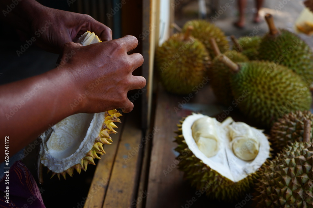 Durian is the name of a tropical plant originating from the Southeast ...