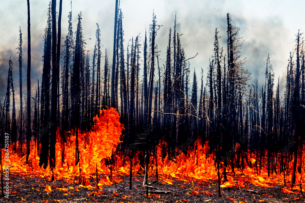 Forest fire on the island of Rhodes, Rodes, Greece. Forest fire in ...