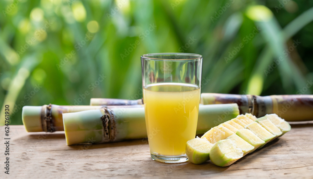 Fresh squeezed sugar cane juice in glass with cut pieces cane on nature ...