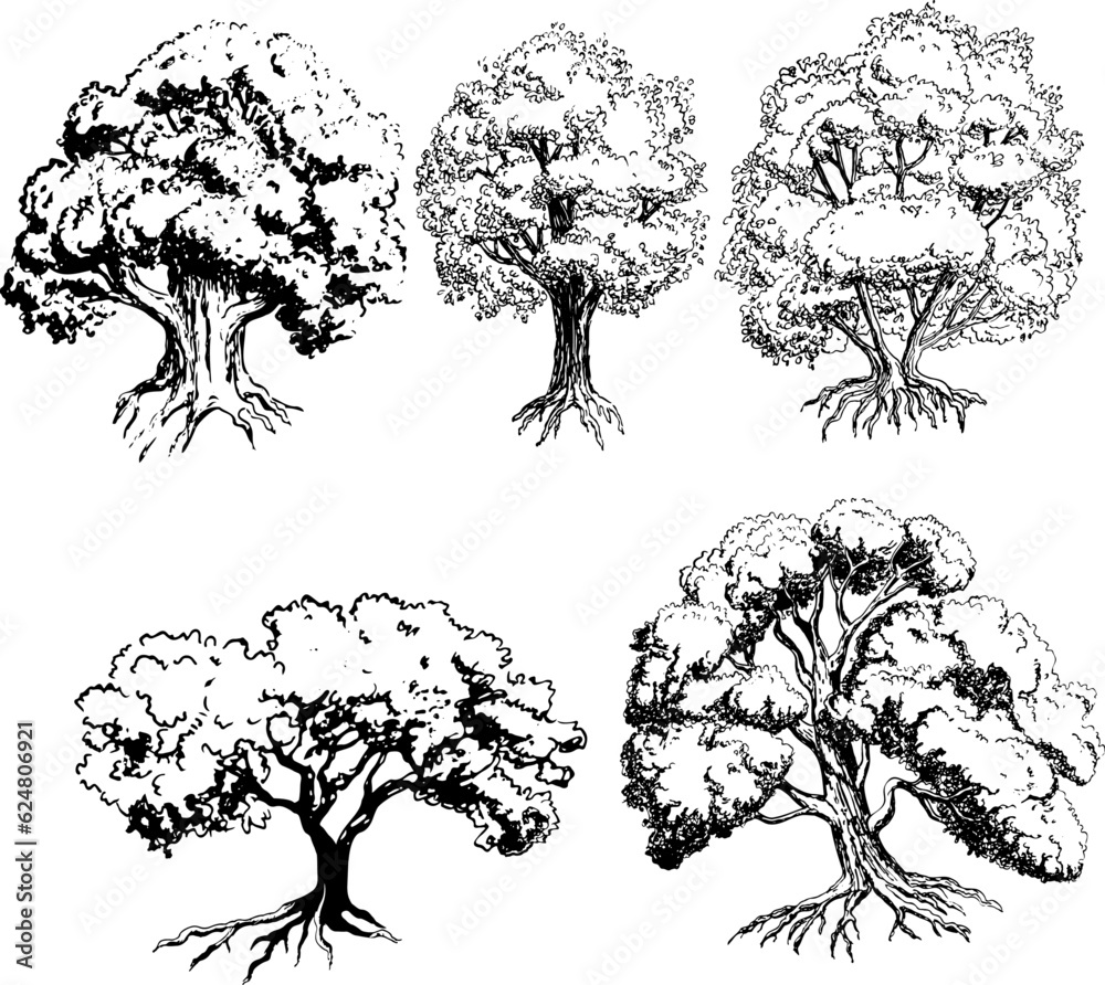 Trees. Black and white silhouette sketch of trees with roots. Vector ...