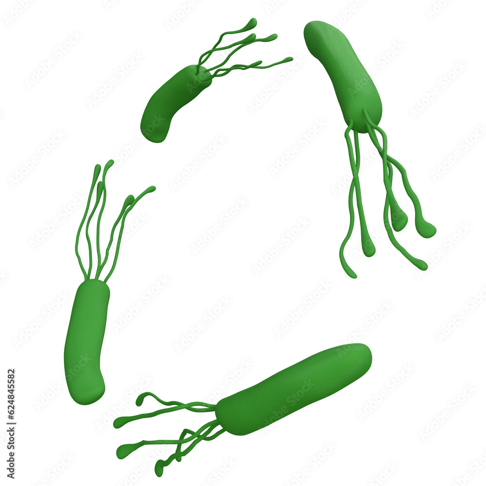 Helicobacter pylori bacteria 3d render realistic frame with place for ...
