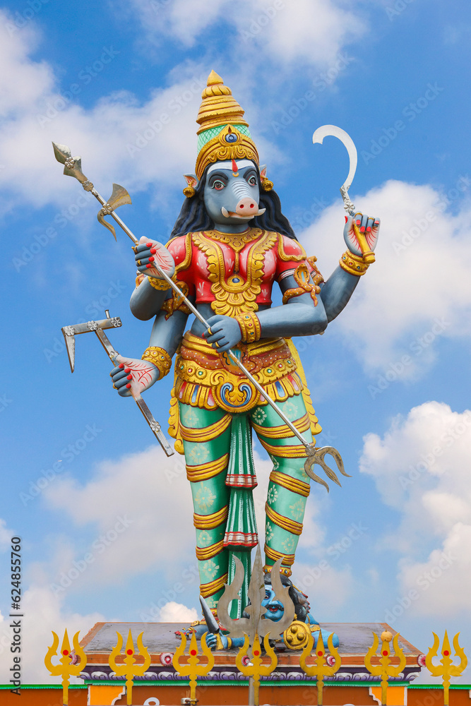Hindu traditional goddess Varahi devi statue in Tamilnadu Stock Photo ...