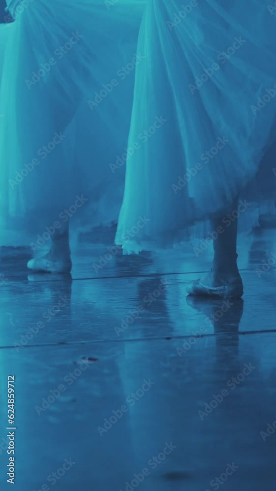 Synchronized dance of ballerinas in pointe shoes. on stage. a lot of ...