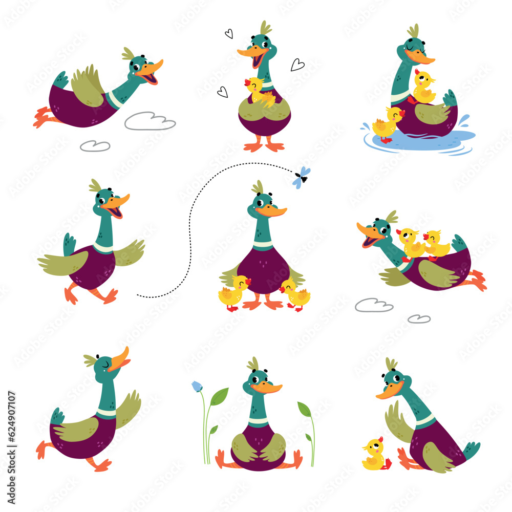 Funny Dabbling Duck Character Engaged in Different Activity Vector Set Stock Vector | Adobe Stock
