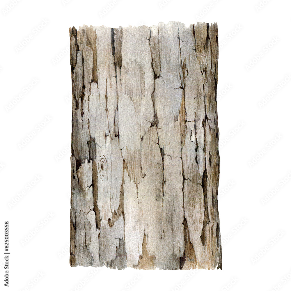 Tree trunk with bark element. Watercolor painted illustration. Hand ...