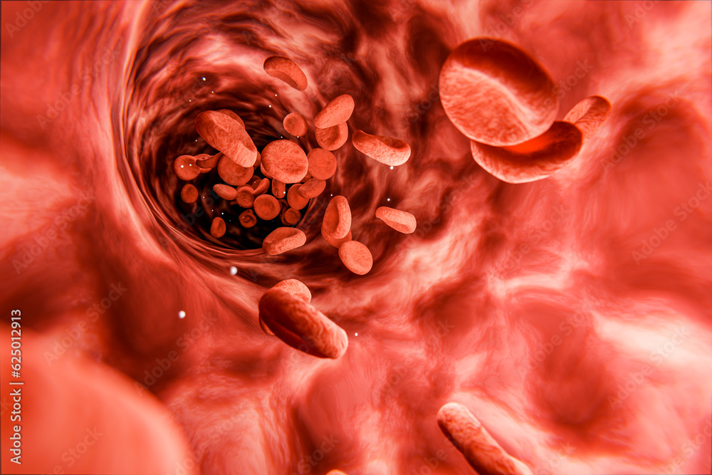 Blood cells in vein. Red blood cells circulating in blood vessels ...