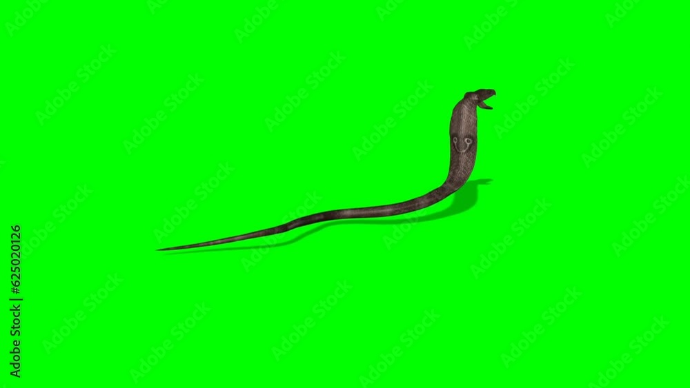 Snake crawling towards right side green screen animation. Snake attack ...