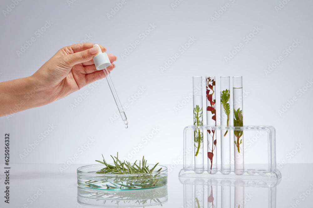 Advertising scene for cosmetic with seaweed ingredient. Lab glassware ...