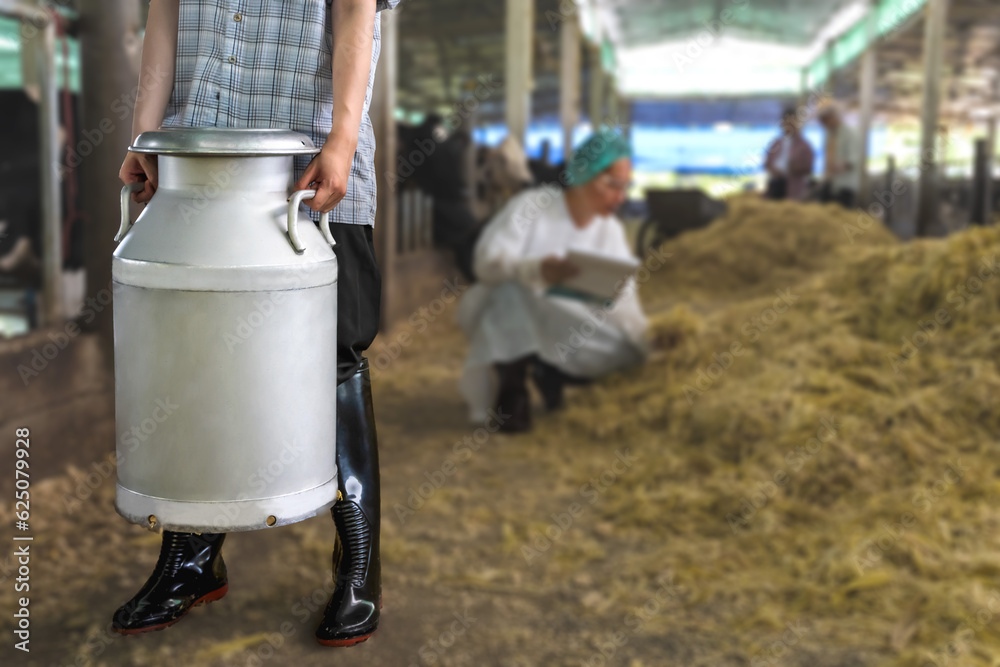 Cow man worker carrying big aluminium milk can in Dairy Farming Stock ...