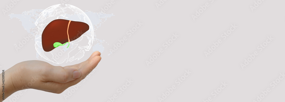 Human hand hold care liver health therapy, Liver cancer, cancer ...