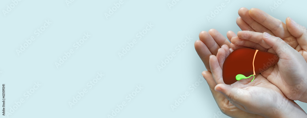 Human hand hold care liver health therapy, Liver cancer, cancer ...