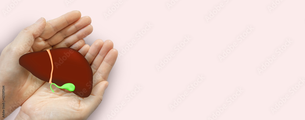 Human hand hold care liver health therapy, Liver cancer, cancer ...