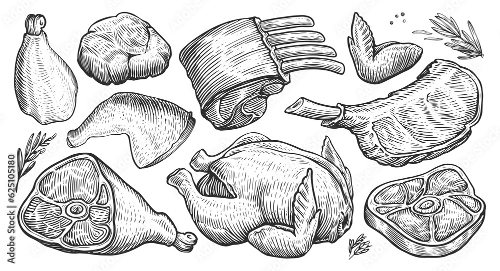 Meat set. Hand drawn illustration for butcher shop or restaurant menu ...