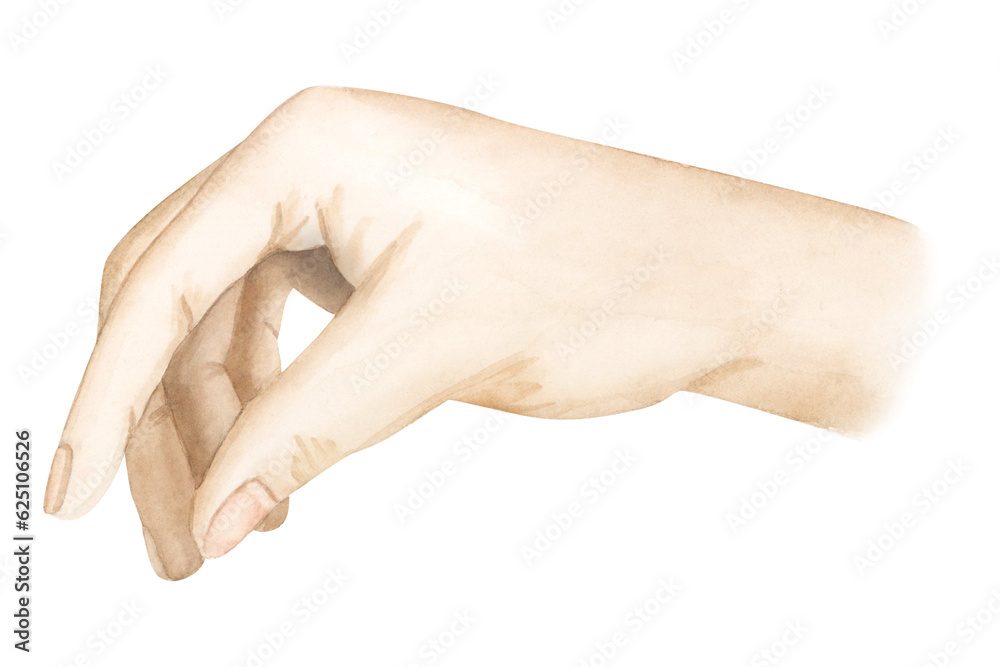 Watercolor human hand in holding pose illustration isolated on white ...