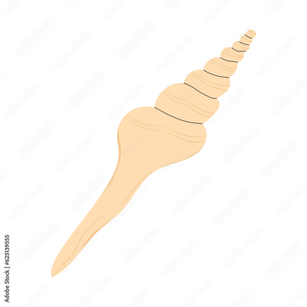 Long spiral sea shell, marine mollusc. Nautical seashell. Underwater ...