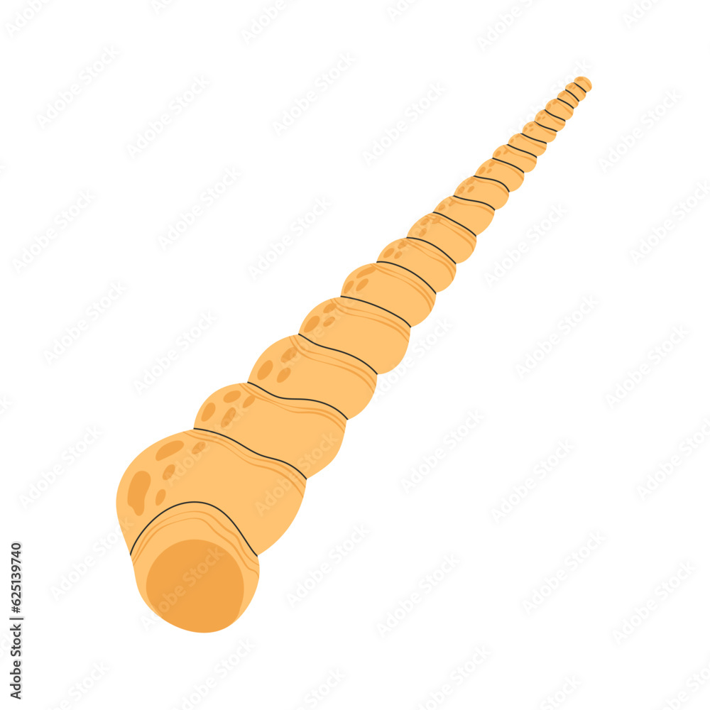 Long spiral sea shell, mollusk. Nautical seashell icon. Twisted mollusc ...