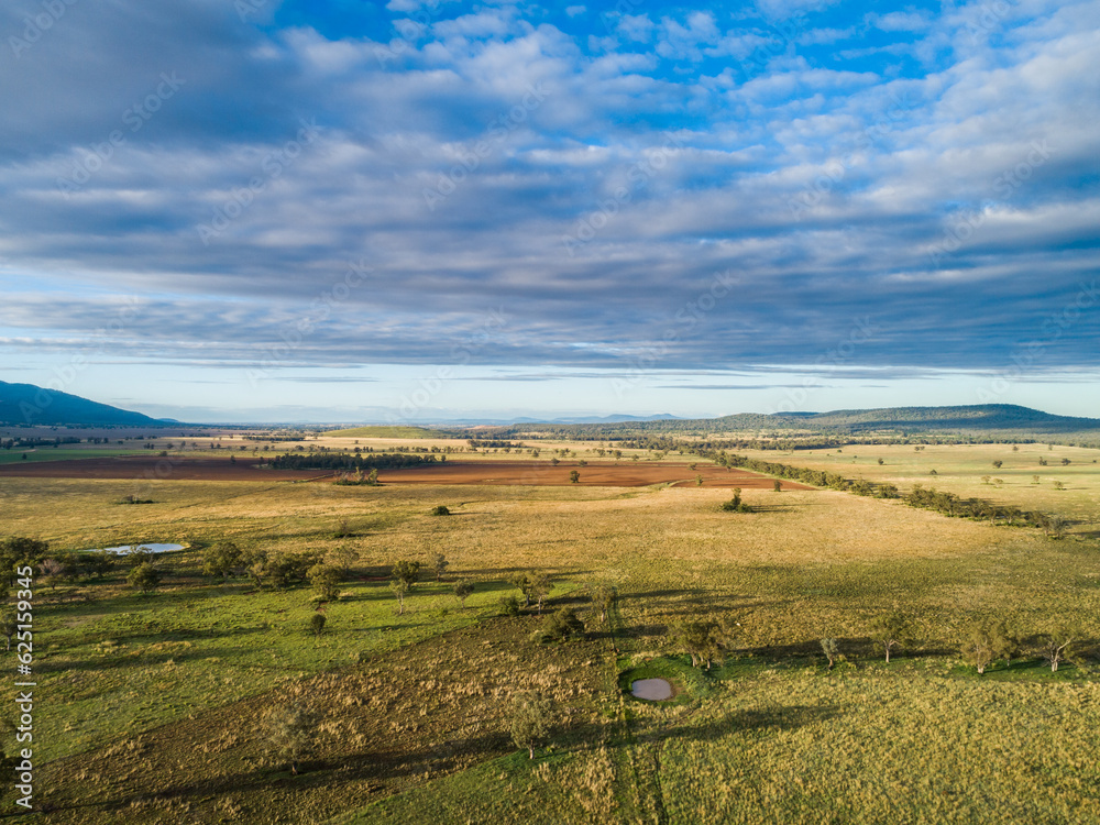 Aerial Australian farm landscape with sunlight on paddock dotted with ...