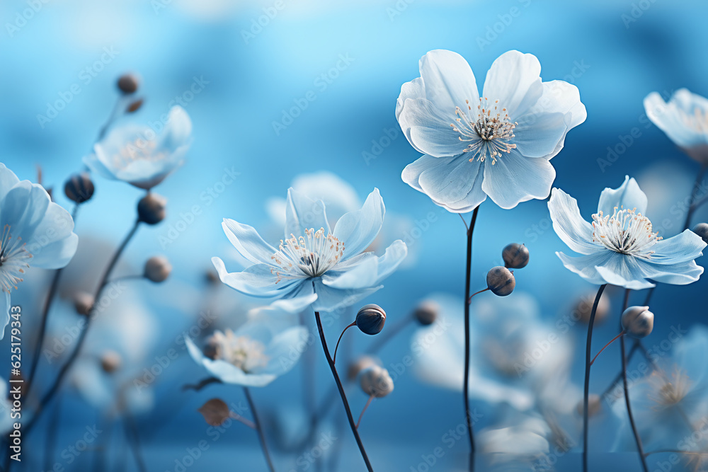 Beautiful soft blue floral pastel background, HD, no text, no writing ...