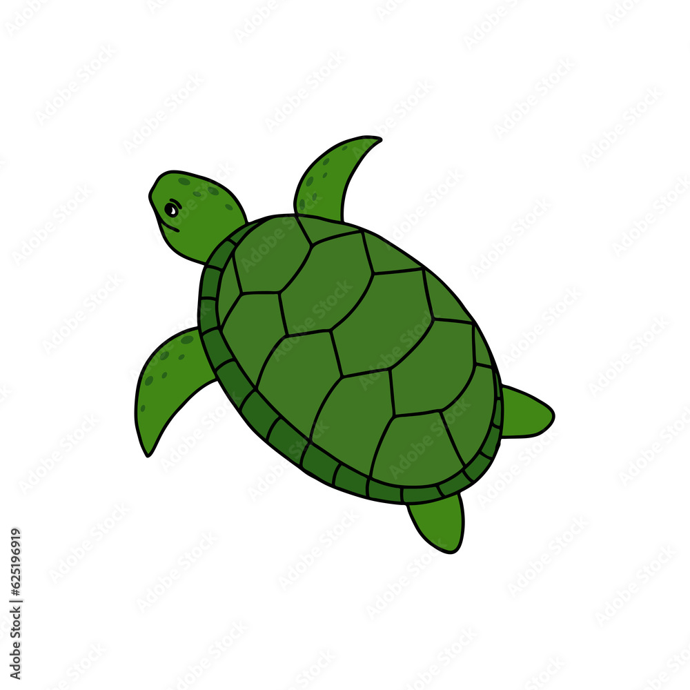 Cute cartoon turtle isolated on white background. Children vector ...
