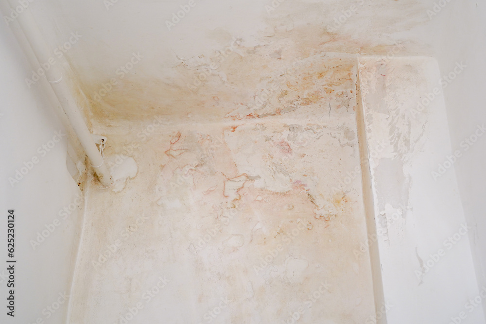 corner of room, dilapidated walls and wet ceiling, gray mold on plaster ...