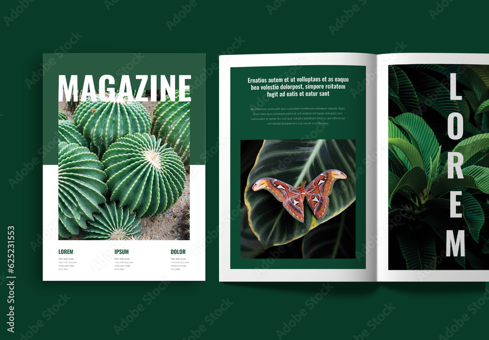 Minimal Magazine Layout Stock Template | Adobe Stock